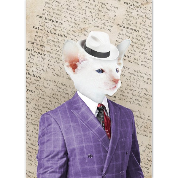 Cool Cat - art print - Kooky Prints